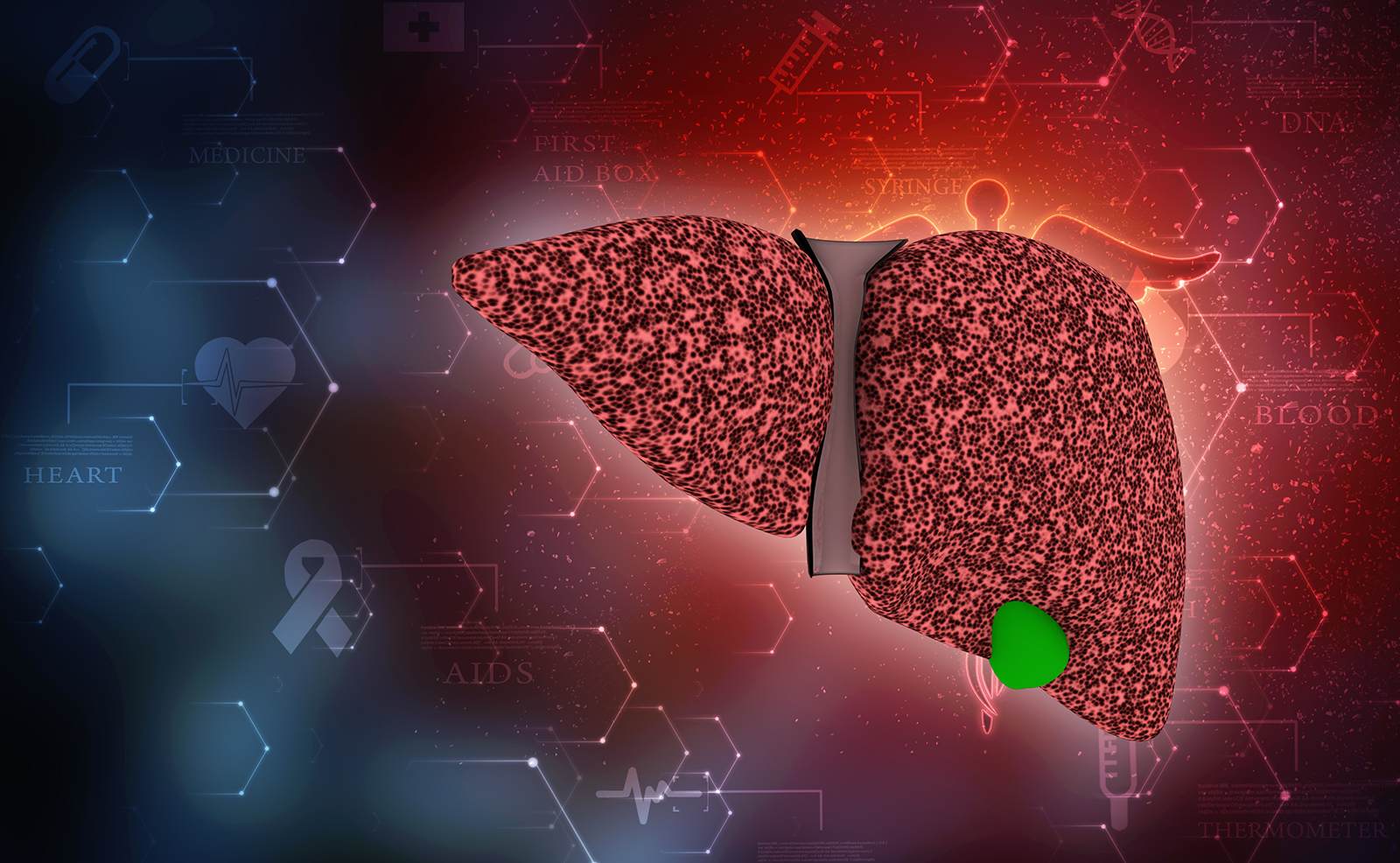 Gallery - PSSLD | Photos of our meetings